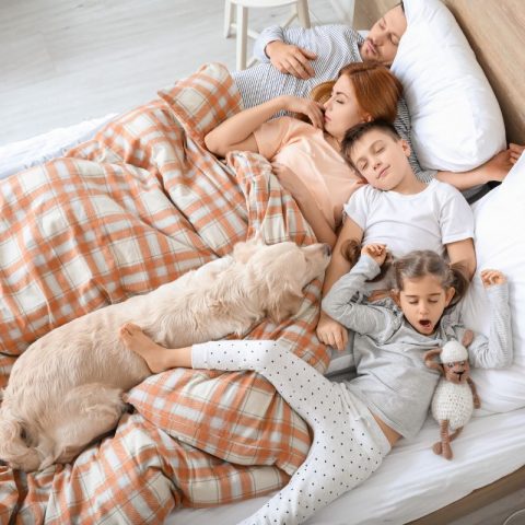 Passivhaus the residential concept